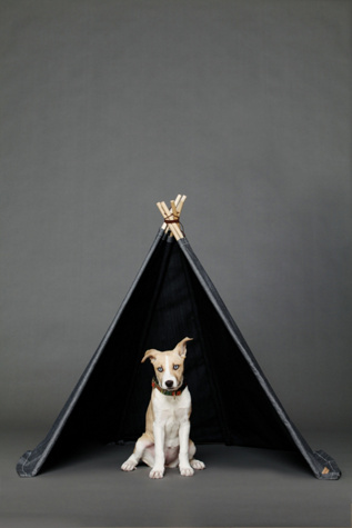 Saquaro Denim Tipi | Free People