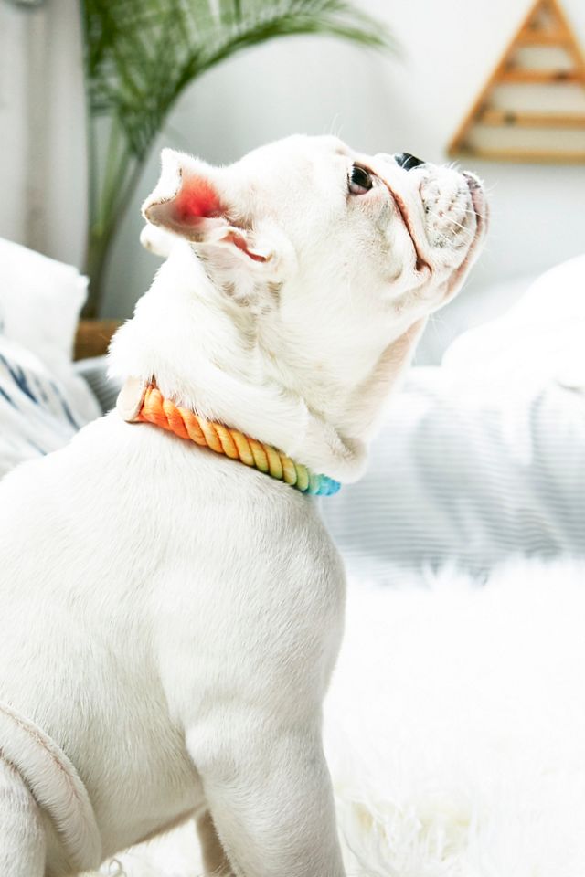Tie Dye Rope Collar | Free People