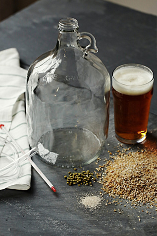 DIY Beer Making Kit | Free People
