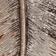Metal Leaf Claw | Free People UK