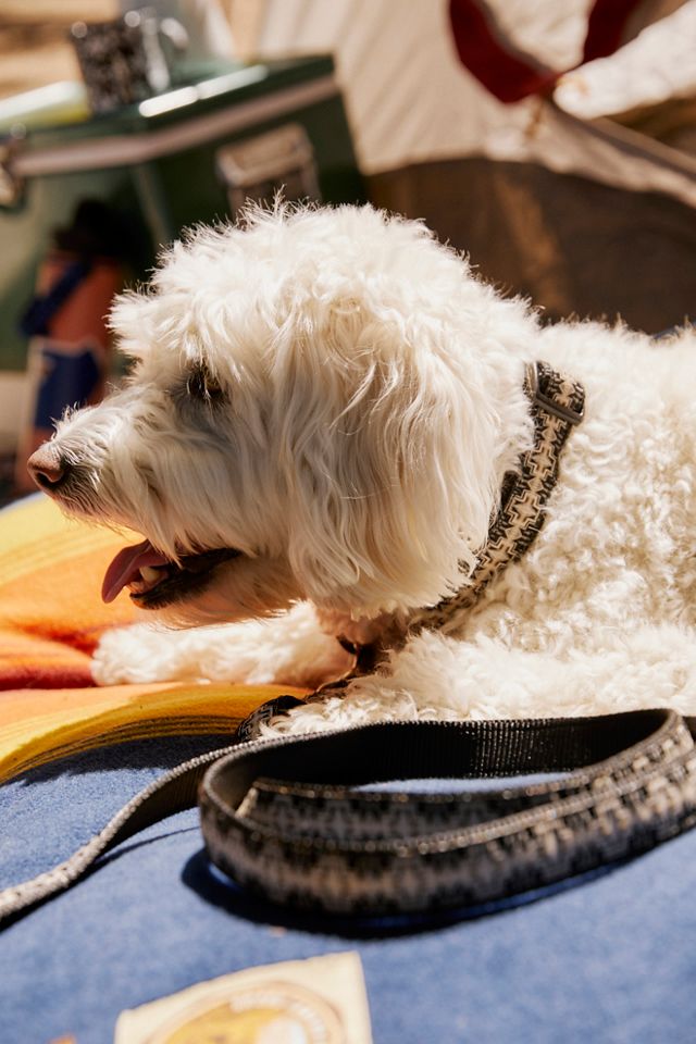 Pendleton Harding Dog Collar | Free People UK