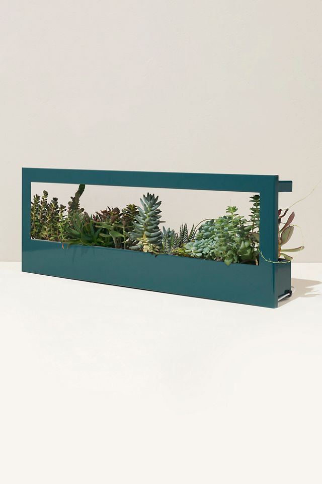 Smart Landscape Growframe | Free People
