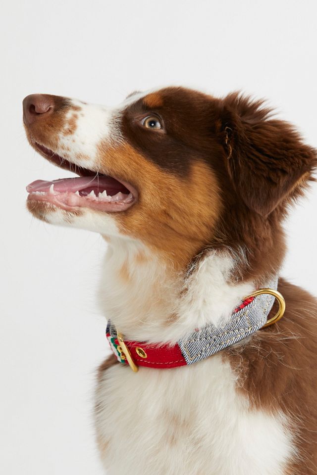 Vintage Canvas Collar | Free People