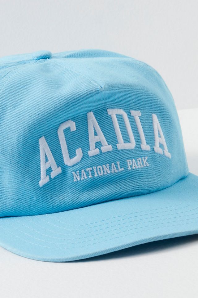 Parks Project Baseball Hat | Free People