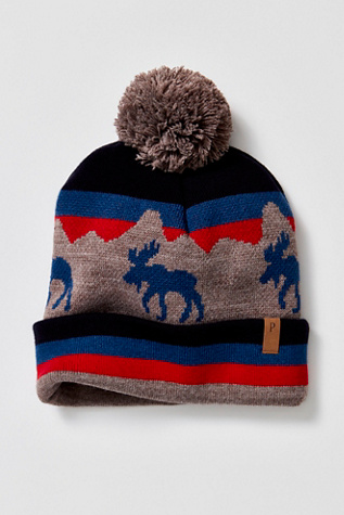 Pendleton Retro Scene Beanie | Free People