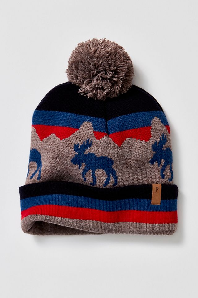 Pendleton Retro Scene Beanie | Free People