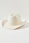 Desert Rose Embroidered Cowboy Hat | Free People