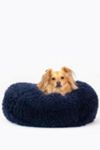 MODERNBEAST Pod Dog Bed | Free People