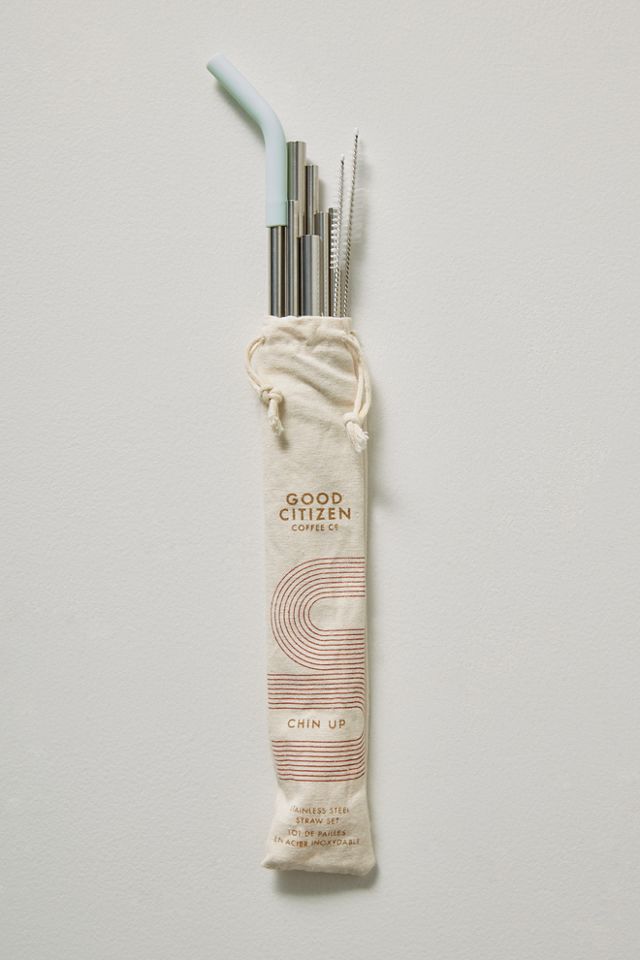 Reusable Stainless Steel Straw Set | Free People