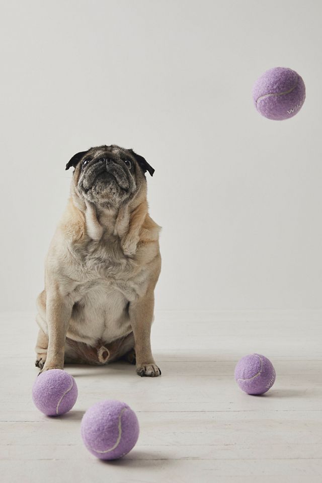 Wild One Tennis Balls | Free People