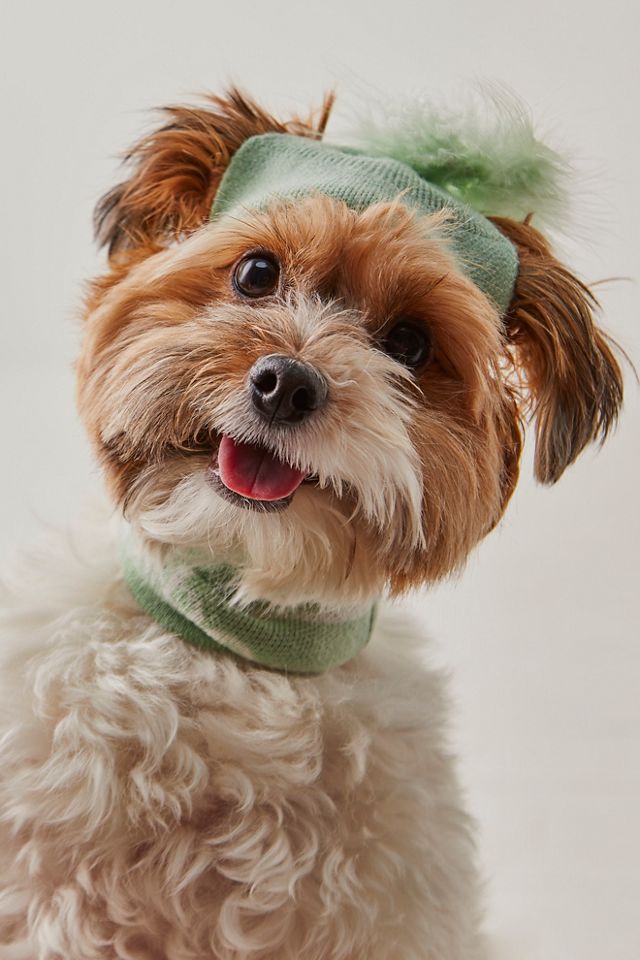 Maxbone Feather Dog Balaclava | Free People UK