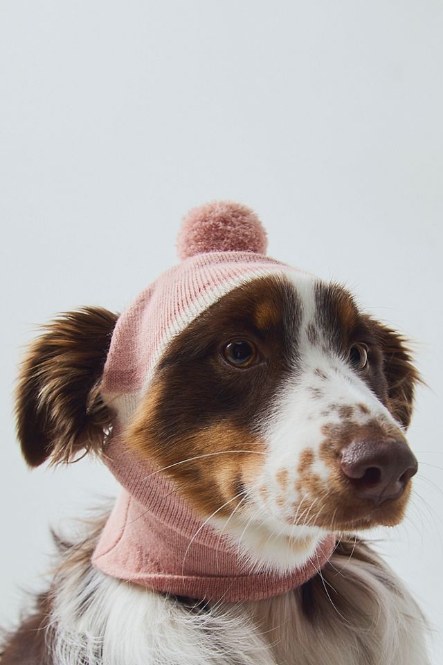 Maxbone Feather Dog Balaclava | Free People