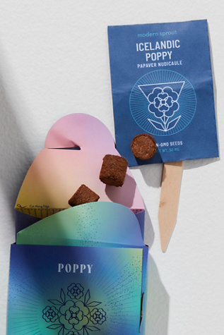 Modern Sprout Cosmic Seed Kits | Free People