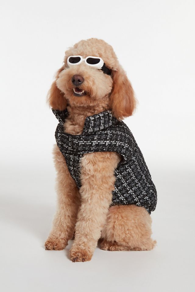 APPARIS Pluto Pet Puffer Jacket | Free People
