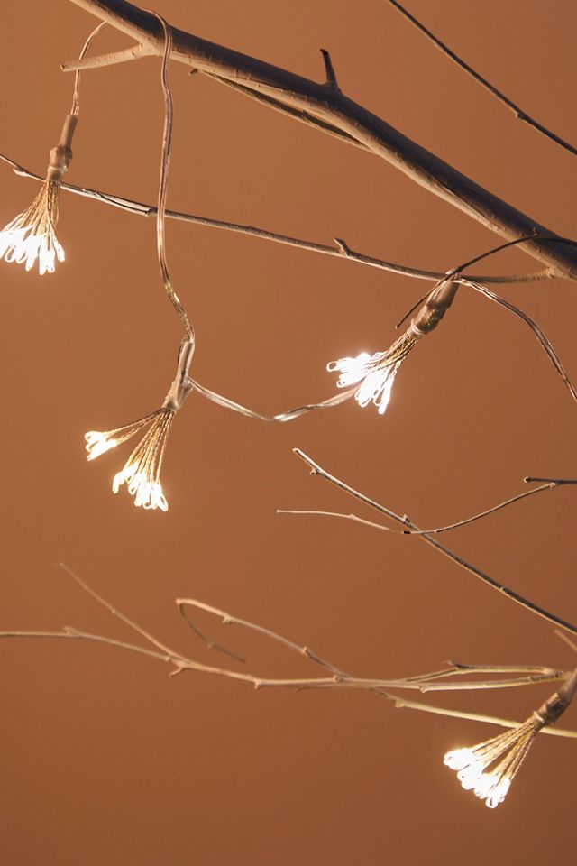 Starburst Battery Operated Chain Lights | Free People