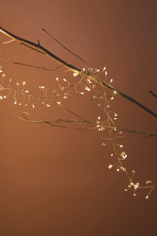 Pearl Cluster Battery Operated String Lights | Free People UK