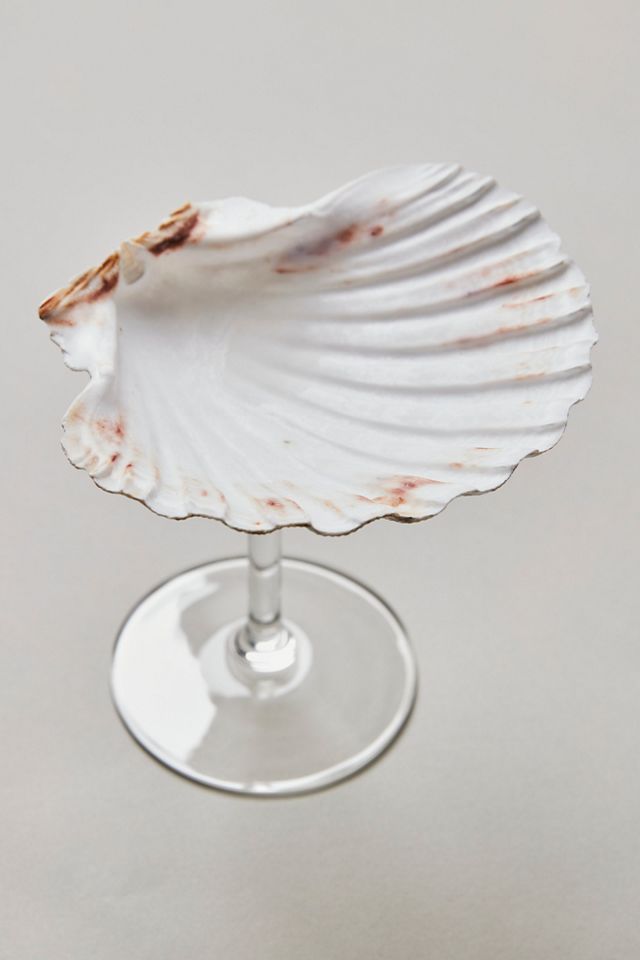 Seashell Martini Glass | Free People UK
