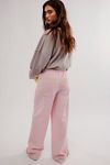 Hudson Canyon Stripe Pants | Free People