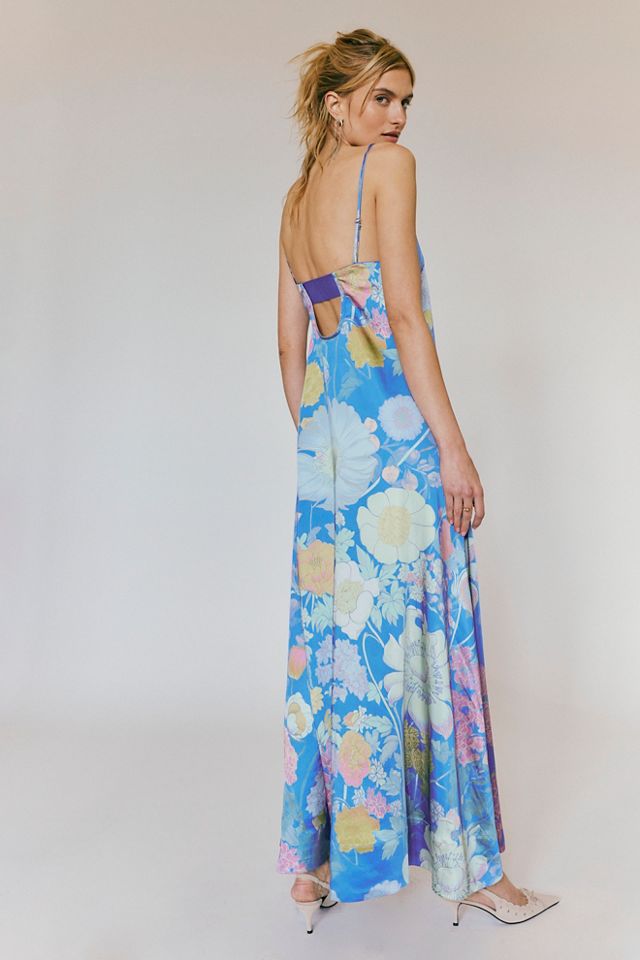 Botanical Maxi Dress | Free People