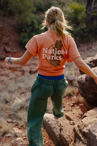 National Parks Pocket Tee | Free People