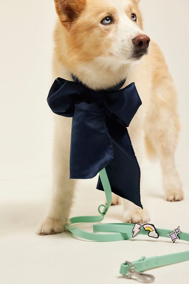 Wild One Leash & Collar Flair | Free People