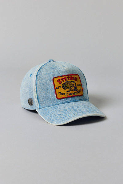 Stetson Buffalo Patch Trucker Hat | Urban Outfitters