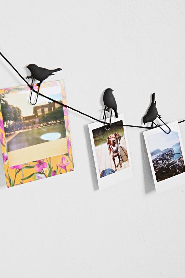 Birds on a Wire Photo Clip - Set of 8 | Urban Outfitters