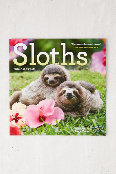Sloth 2016 Wall Calendar | Urban Outfitters Canada