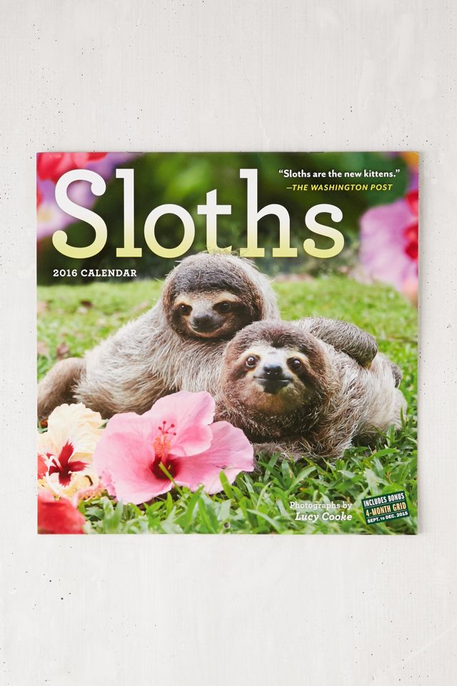 Sloth 2016 Wall Calendar | Urban Outfitters