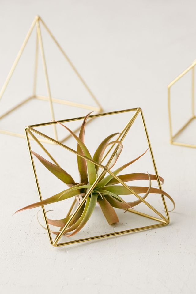 Geo Shape Set | Urban Outfitters