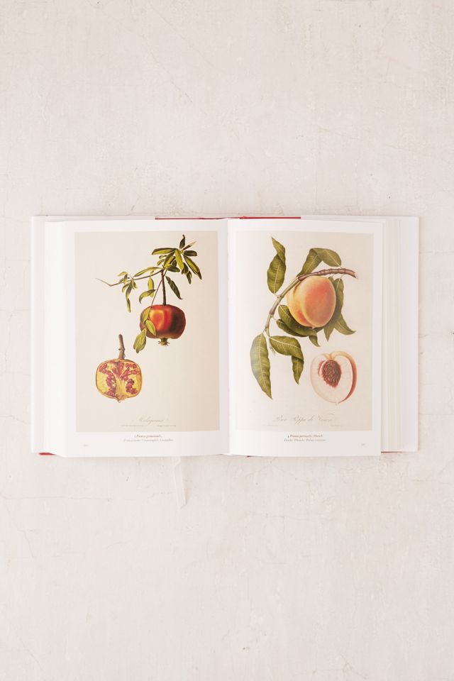 A Garden Eden: Masterpieces Of Botanical Illustration By H. Walter Lack ...