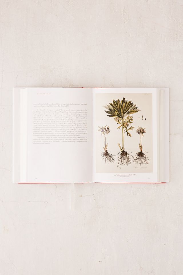 A Garden Eden: Masterpieces Of Botanical Illustration By H. Walter Lack ...