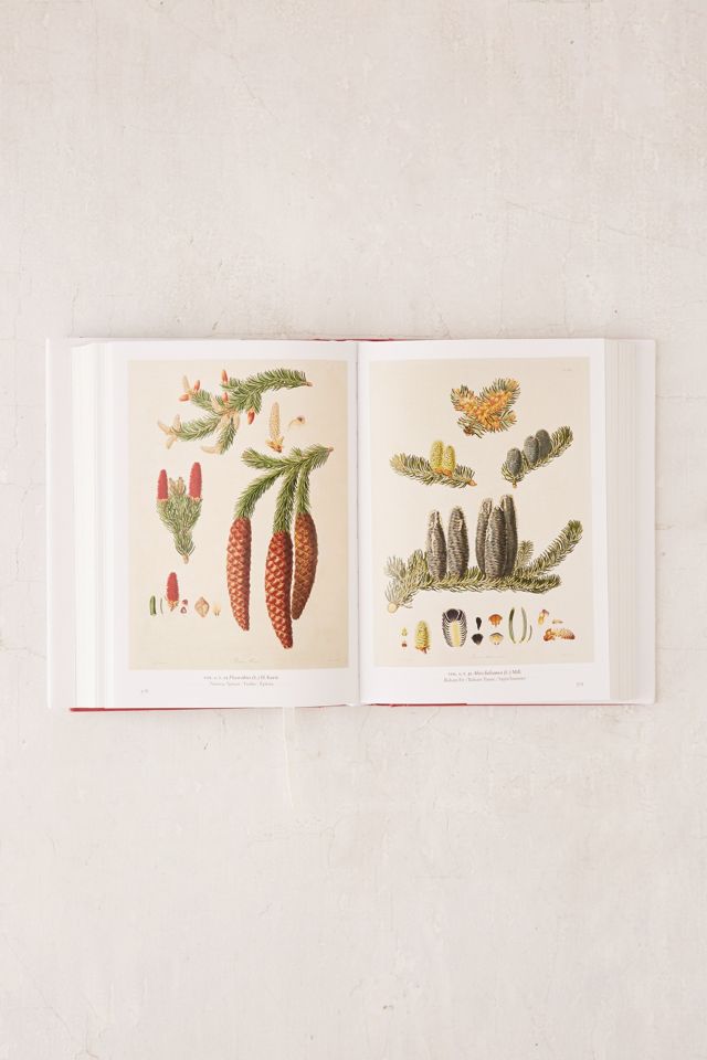 A Garden Eden: Masterpieces Of Botanical Illustration By H. Walter Lack ...