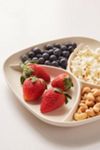 Bamboozle 4 Section Dinner + Serving Plate | Urban Outfitters