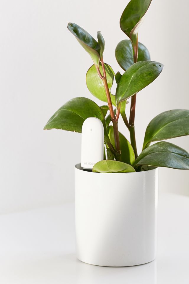 Smart Plant Tracker | Urban Outfitters