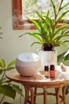 Ellia Dream Ultrasonic Essential Oil Diffuser | Urban Outfitters