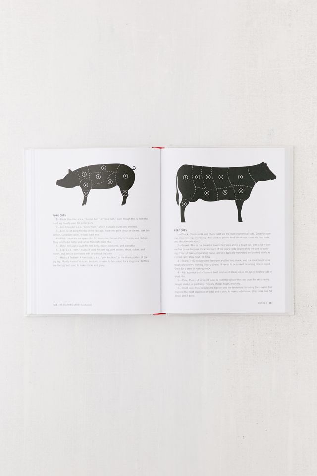 The Starving Artist Cookbook: Illustrated Recipes for First-Time Cooks ...