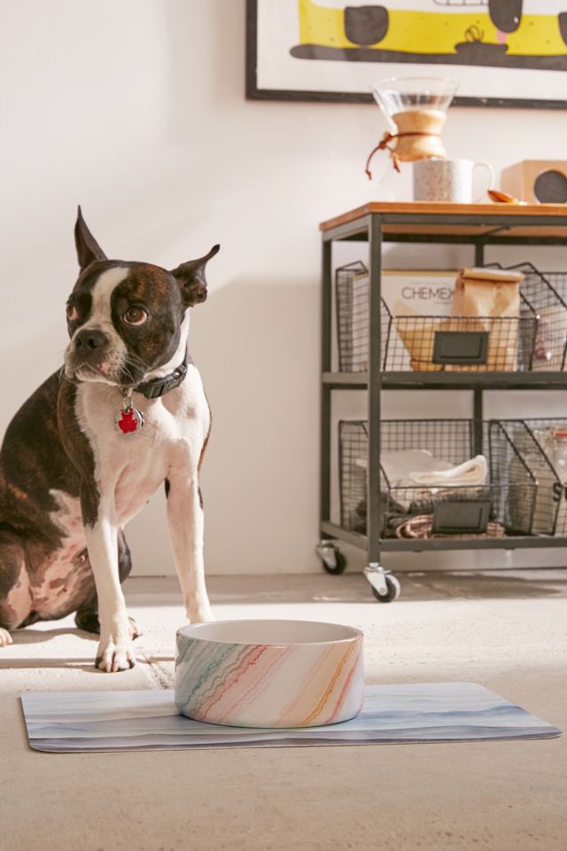 Iveta Abolina For Deny Desert Pet Bowl | Urban Outfitters Canada