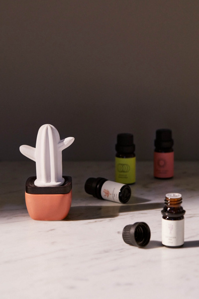 Cactus Essential Oil Diffuser | Urban Outfitters