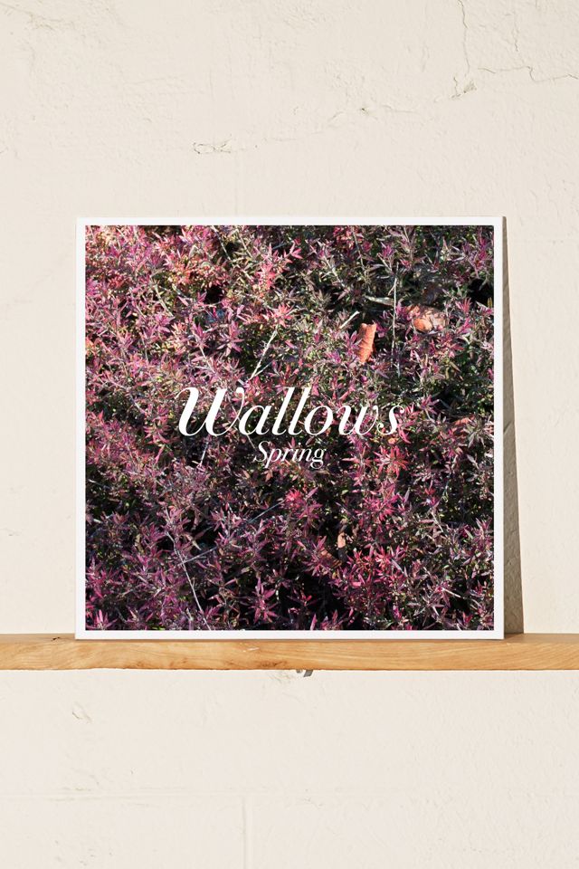 Wallows - Spring EP | Urban Outfitters