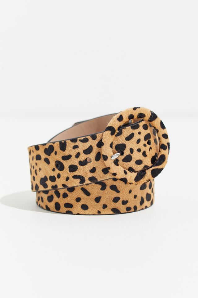 Cheetah Print Belt | Urban Outfitters Canada