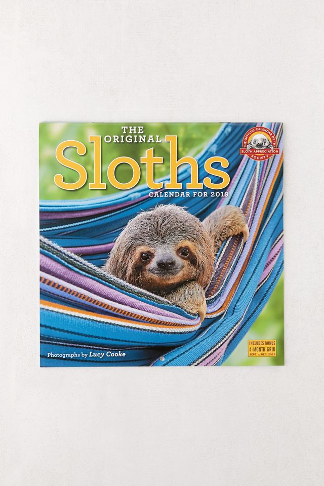 2019 Sloths 12-Month Wall Calendar | Urban Outfitters Canada