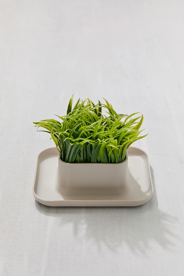 Kikkerland Design Potted Pen Phone Stand | Urban Outfitters