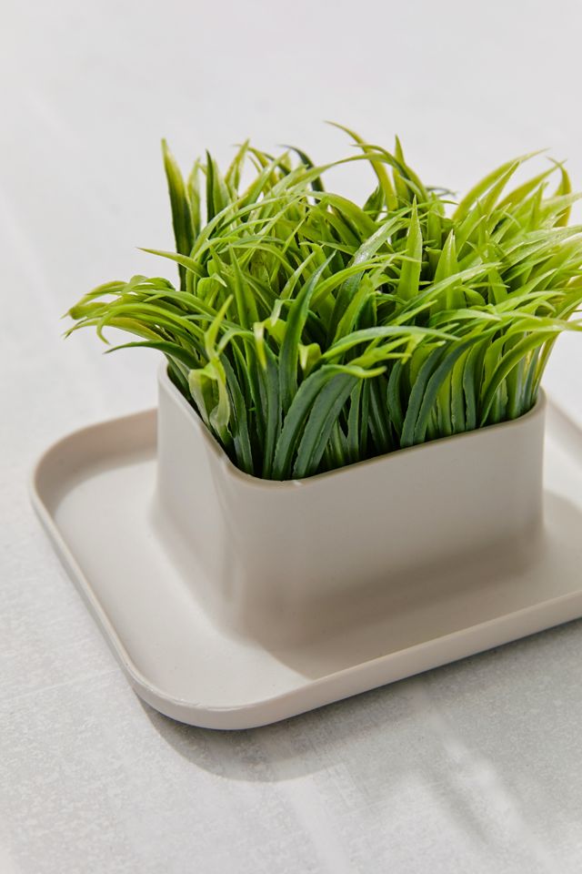Kikkerland Design Potted Pen Phone Stand | Urban Outfitters