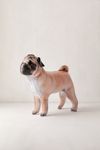 Inflatable Pug | Urban Outfitters