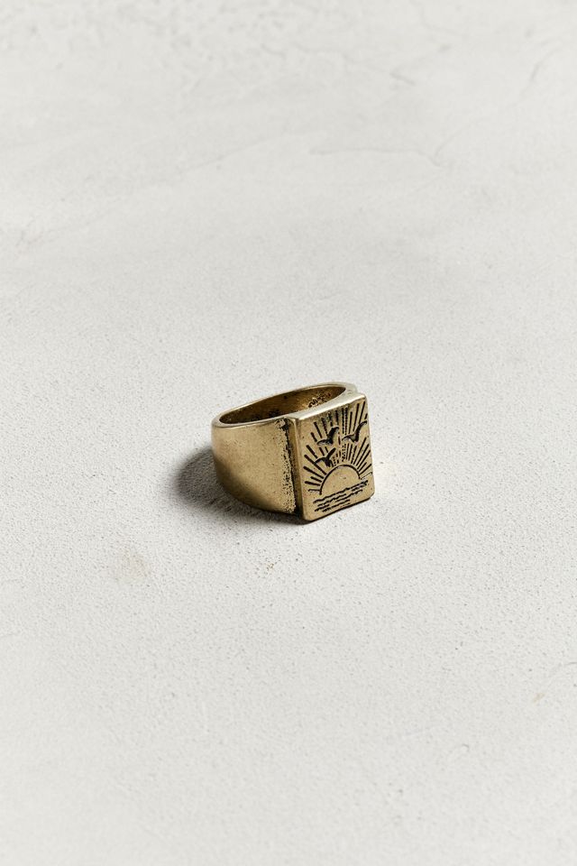 Icon Brand One Fine Day Signet Ring | Urban Outfitters Canada