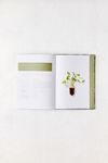 Ditch The Dirt Book + Hydropod Gift Set | Urban Outfitters