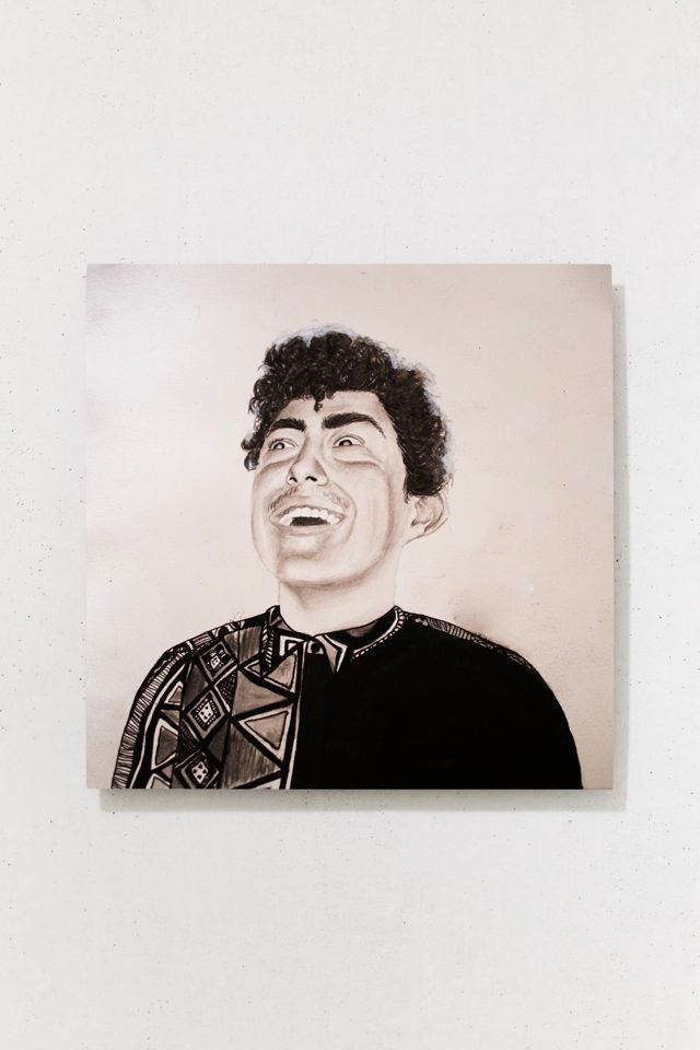 Hobo Johnson - The Rise Of Hobo Johnson LP | Urban Outfitters