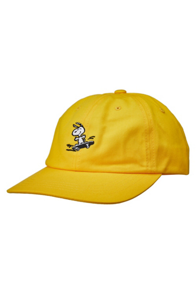 HUF x Peanuts Snoopy Sk8 CV 6 Panel Hat | Urban Outfitters