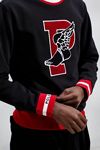 Polo Ralph Lauren P-Wing Crew Neck Sweatshirt | Urban Outfitters